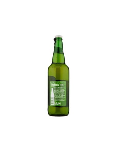 Tuborg Beer - 66 cl - Free shipping delivered to EUROPE and UK